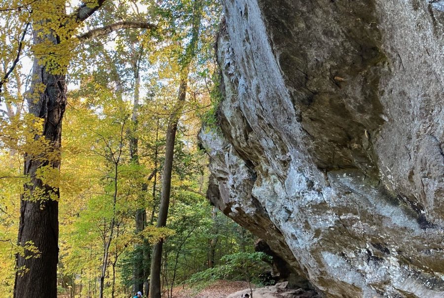 Bat Cave Preserve, North Carolina Nature Conservancy » Carolina ...
