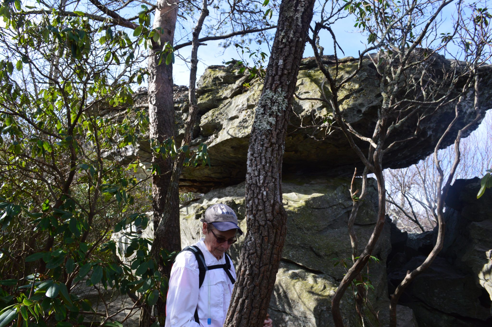 Moore's Wall Loop Trail, Hanging Rock State Park » Carolina Outdoors Guide