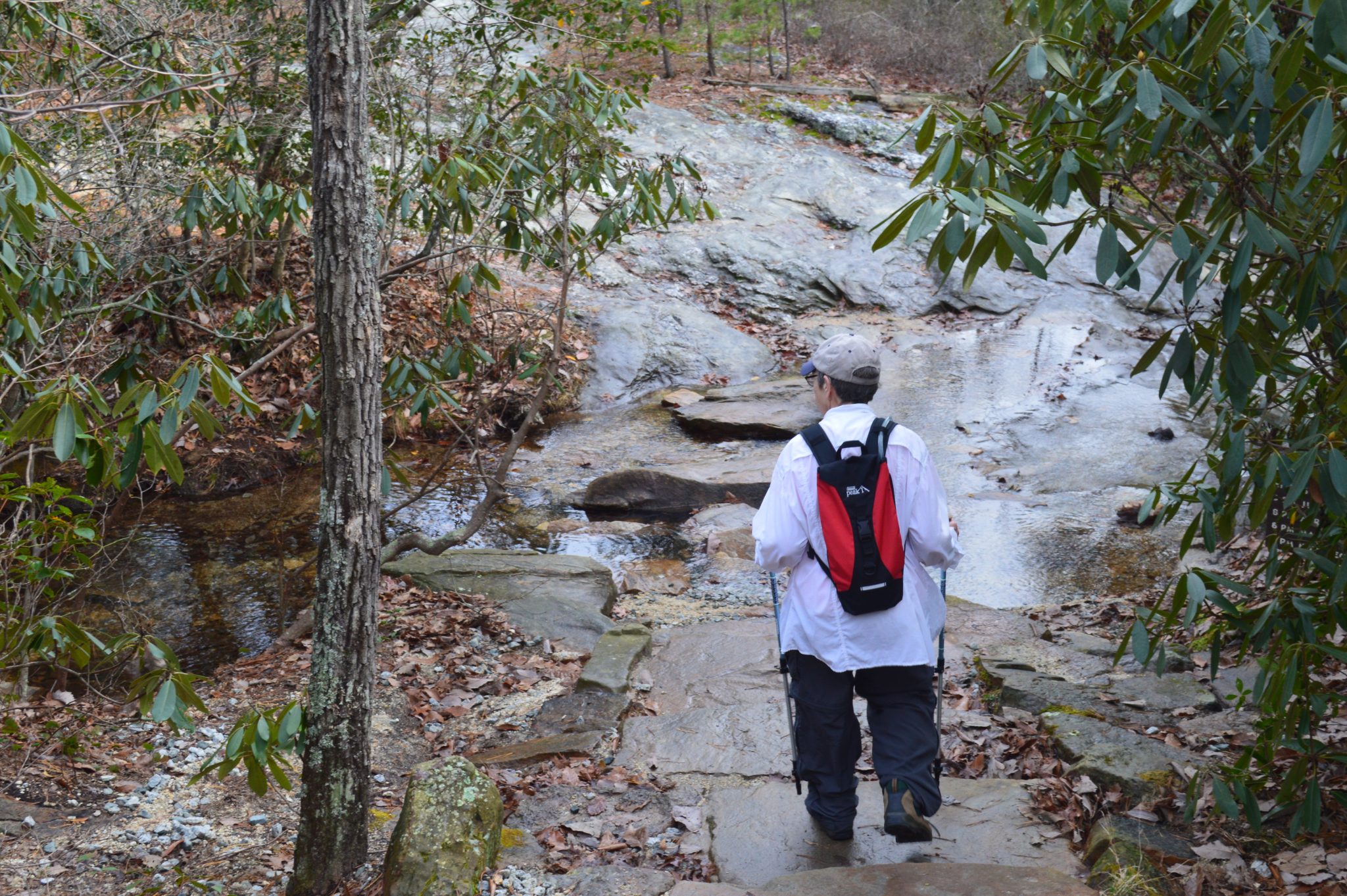 Moore's Wall Loop Trail, Hanging Rock State Park » Carolina Outdoors Guide