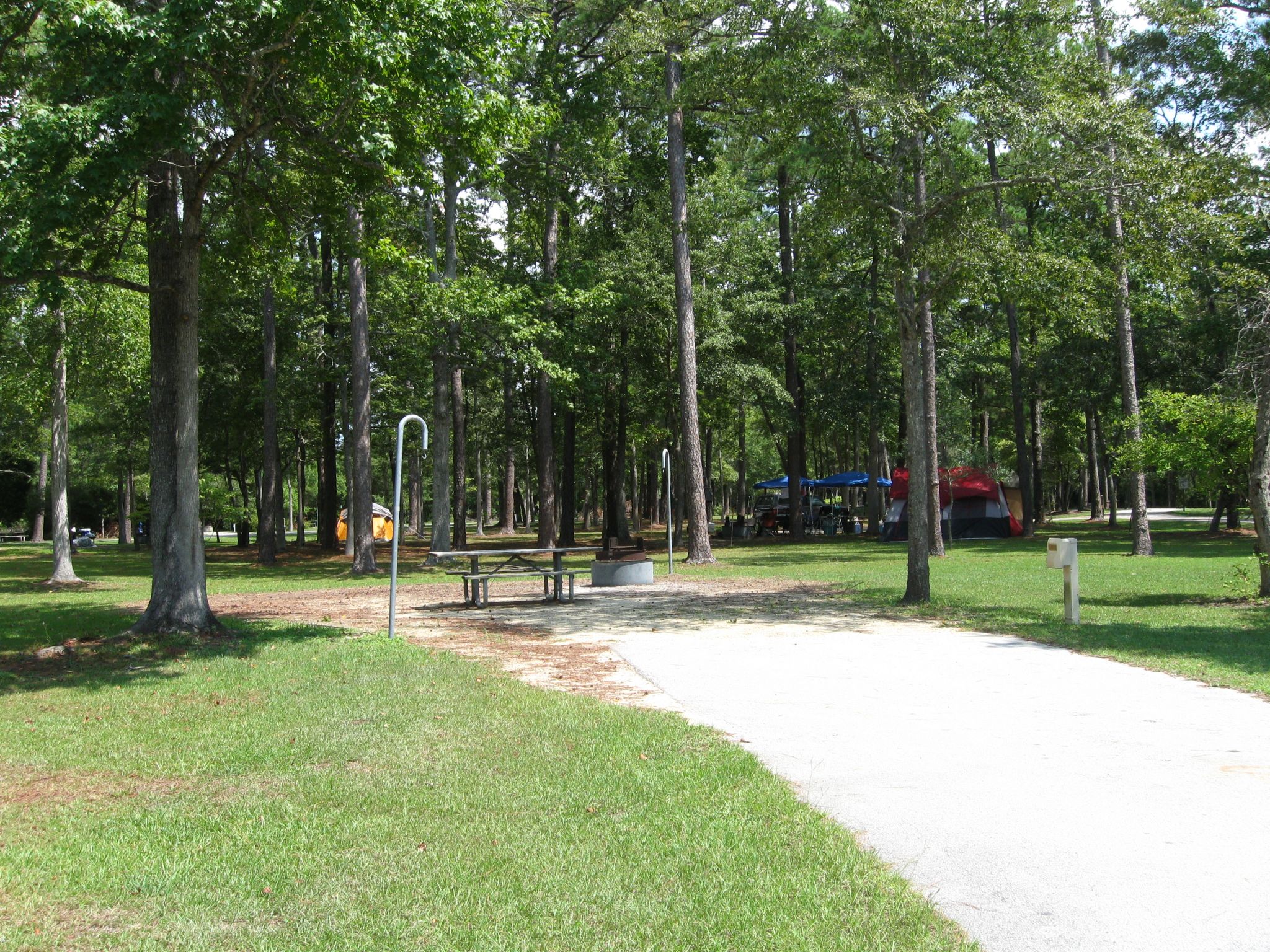 Cedar Point Recreation Area, Croatan National Forest » Carolina ...
