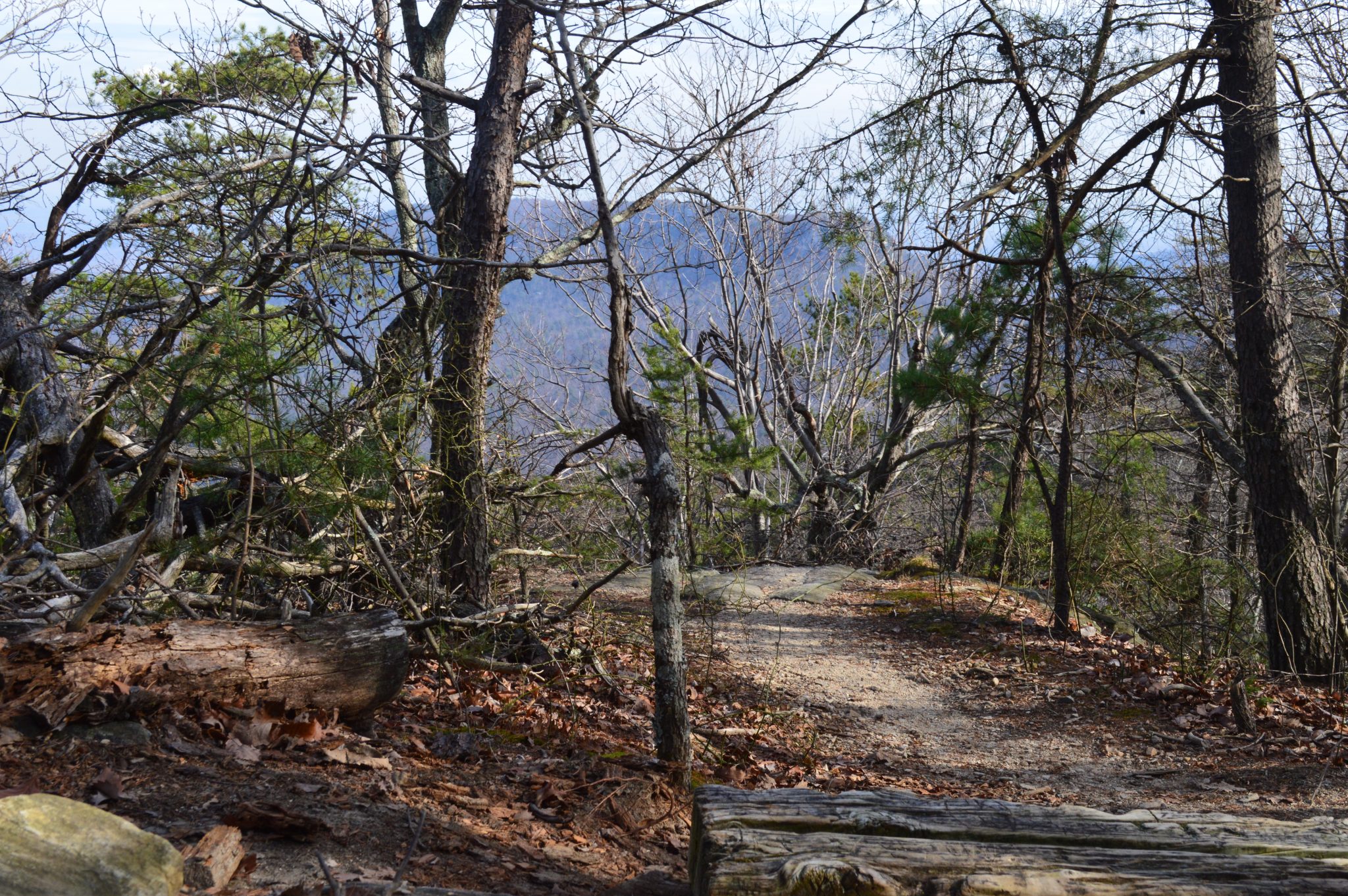 Moore's Wall Loop Trail, Hanging Rock State Park » Carolina Outdoors Guide
