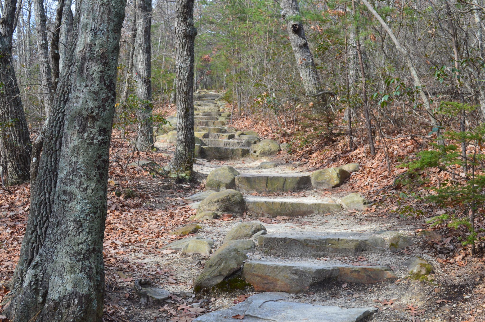 Moore's Wall Loop Trail, Hanging Rock State Park » Carolina Outdoors Guide