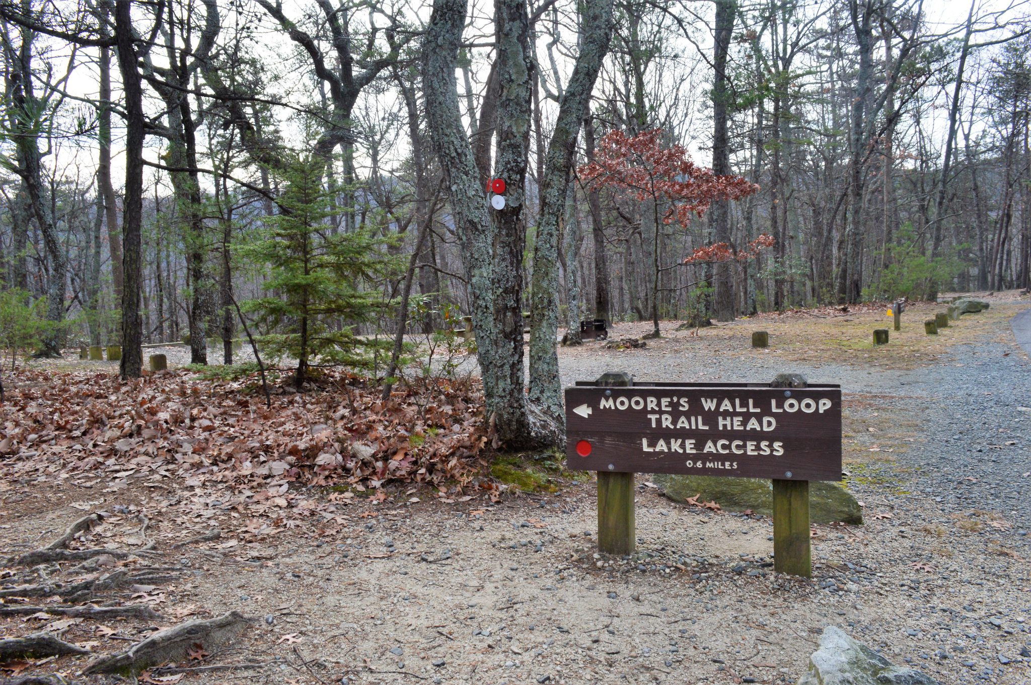 Moore's Wall Loop Trail, Hanging Rock State Park » Carolina Outdoors Guide