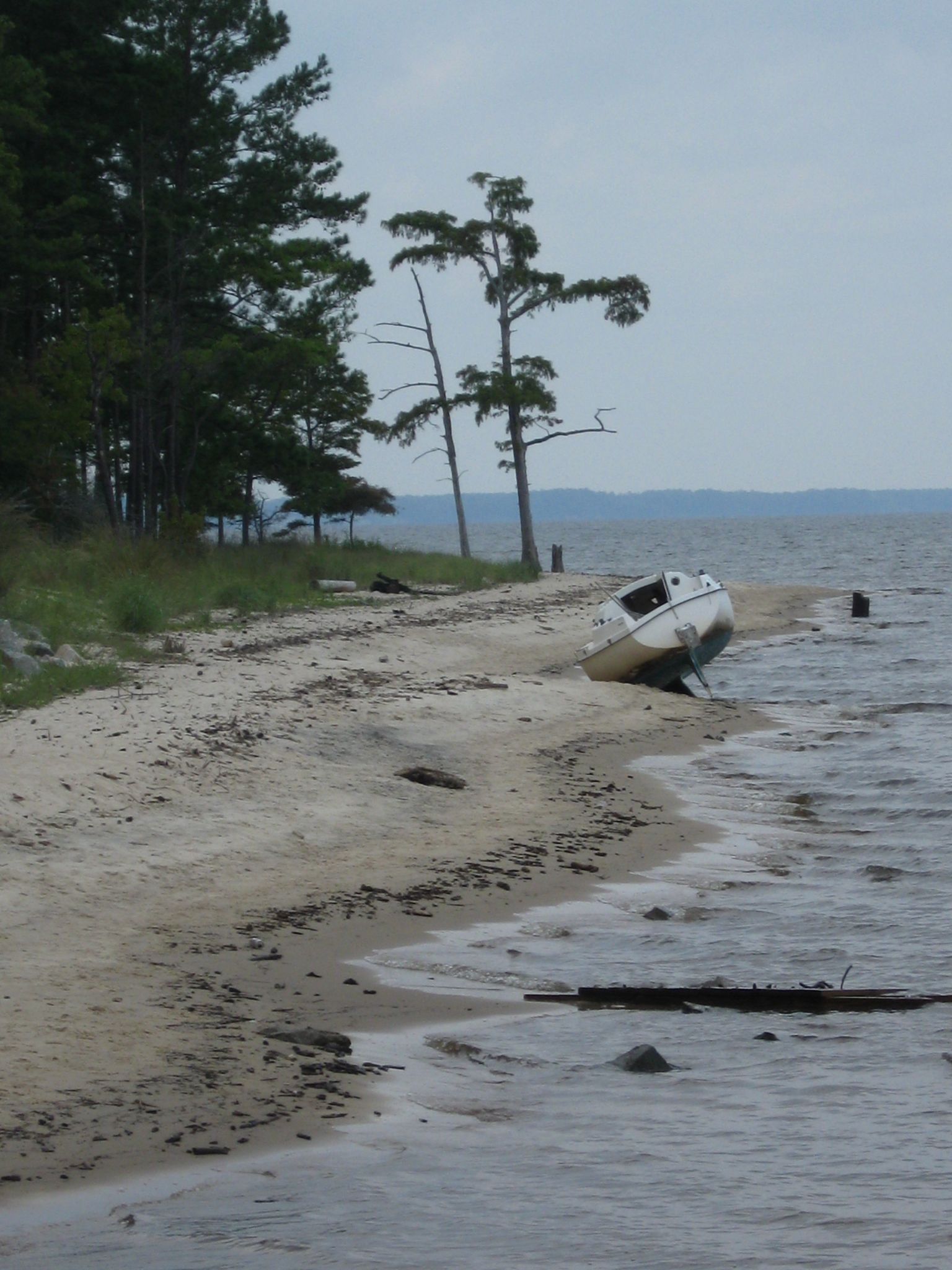 Pine Cliff Picnic Area, Croatan National Forest » Carolina Outdoors Guide