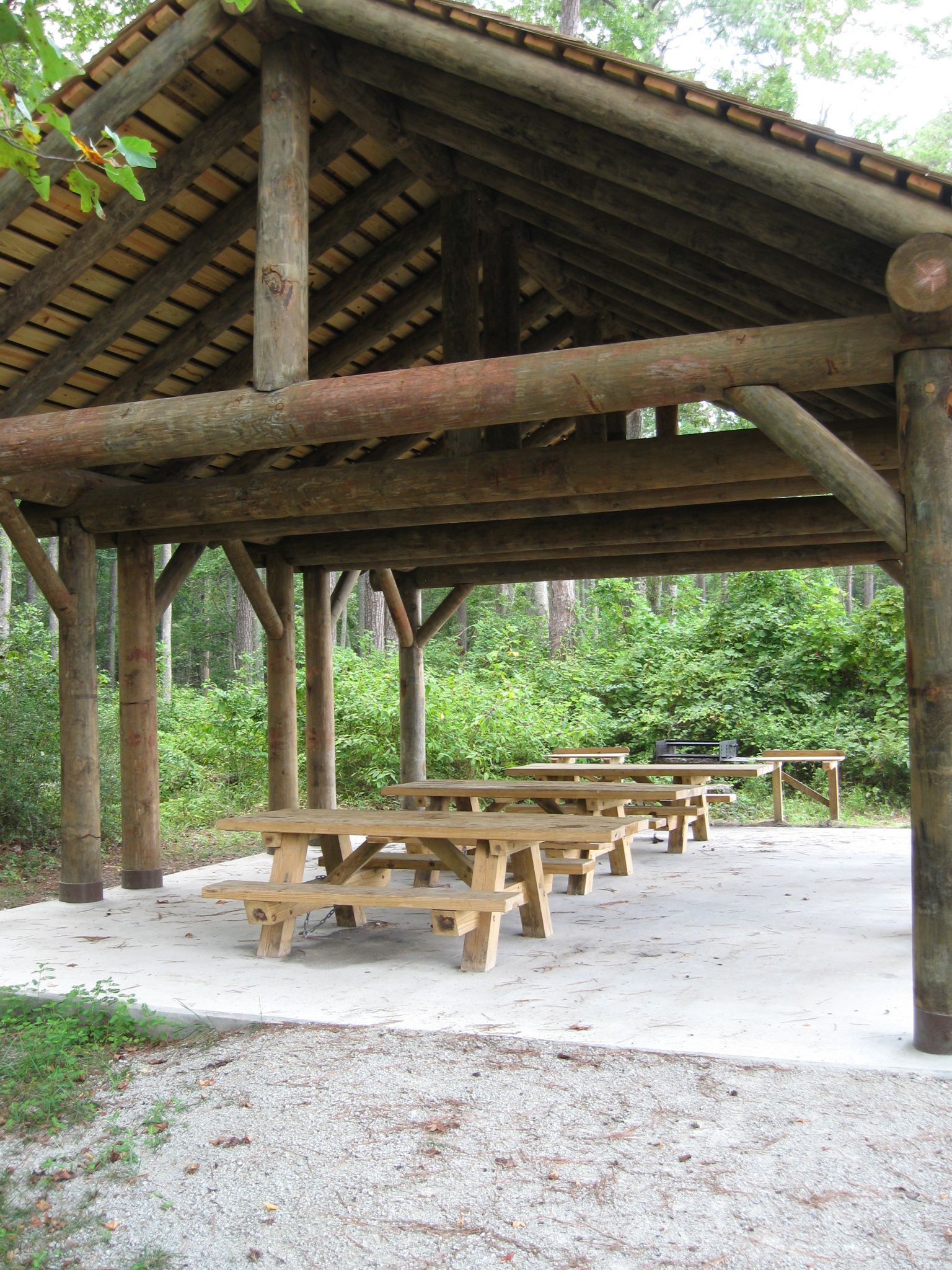 Pine Cliff Picnic Area, Croatan National Forest » Carolina Outdoors Guide
