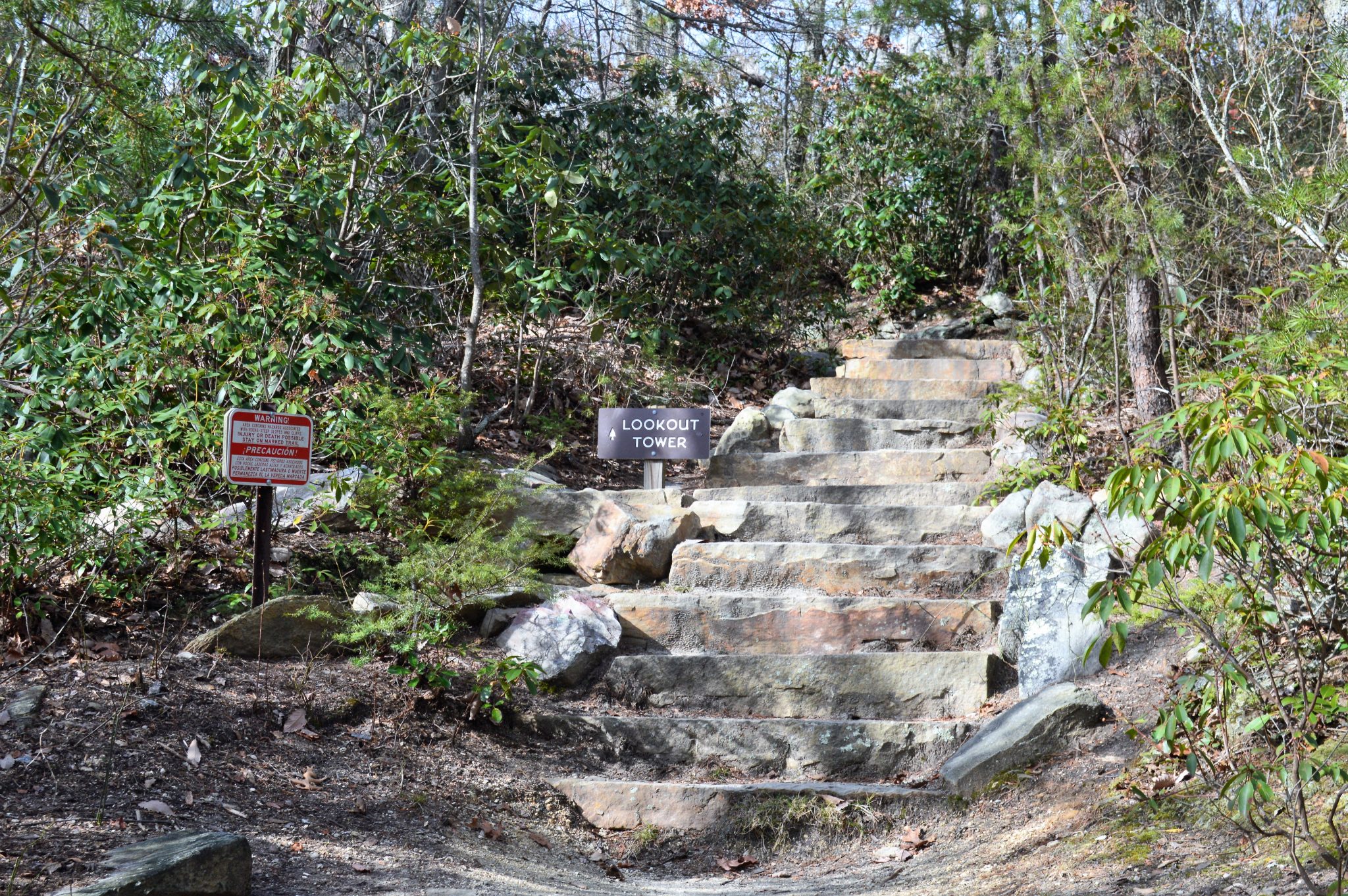 Moore's Wall Loop Trail, Hanging Rock State Park » Carolina Outdoors Guide