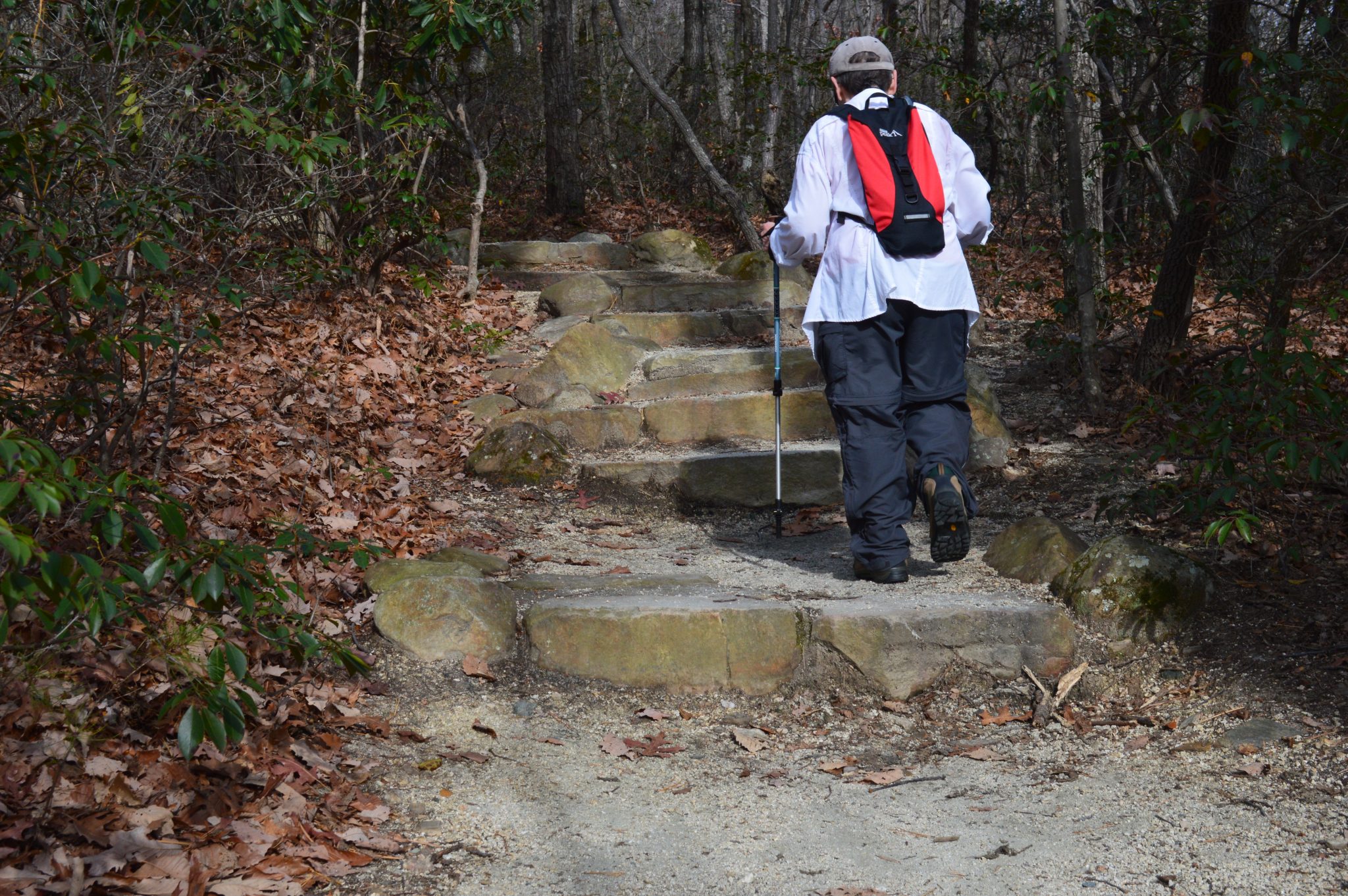 Moore's Wall Loop Trail, Hanging Rock State Park » Carolina Outdoors Guide