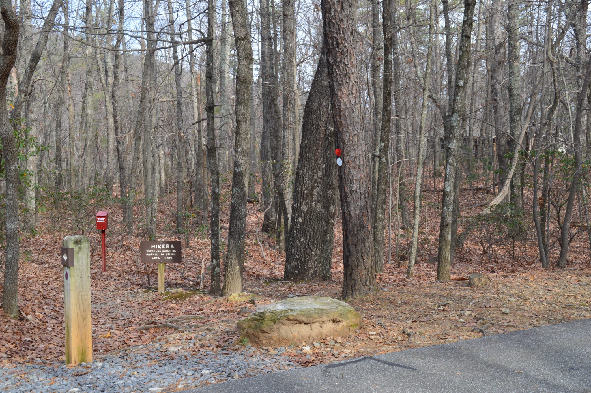 Moore's Wall Loop Trail, Hanging Rock State Park » Carolina Outdoors Guide