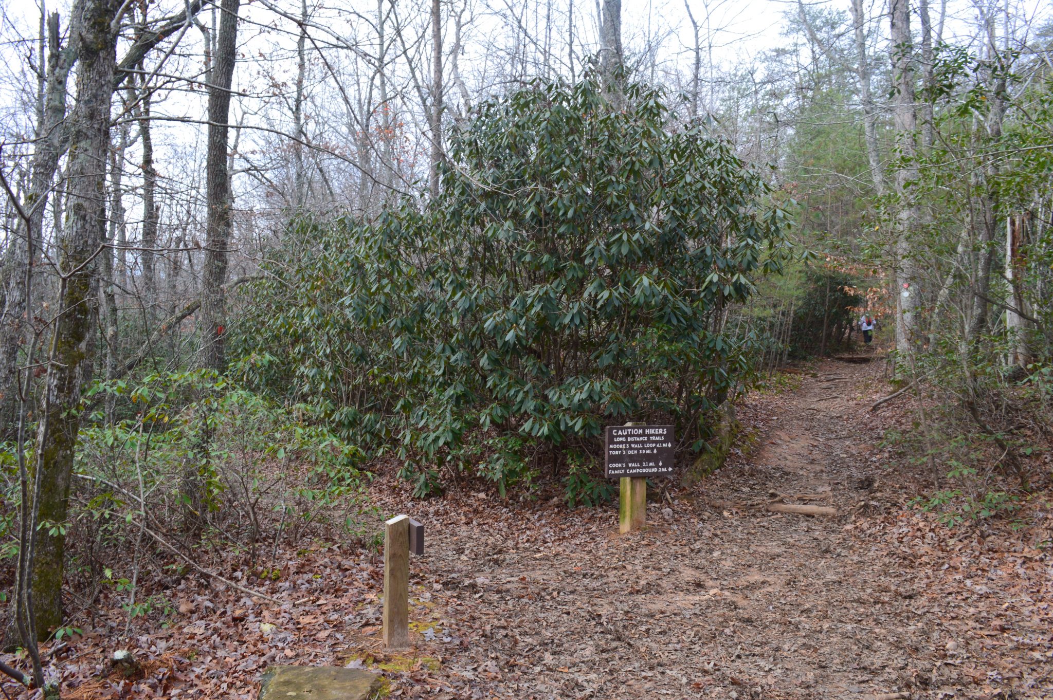 Moore's Wall Loop Trail, Hanging Rock State Park » Carolina Outdoors Guide