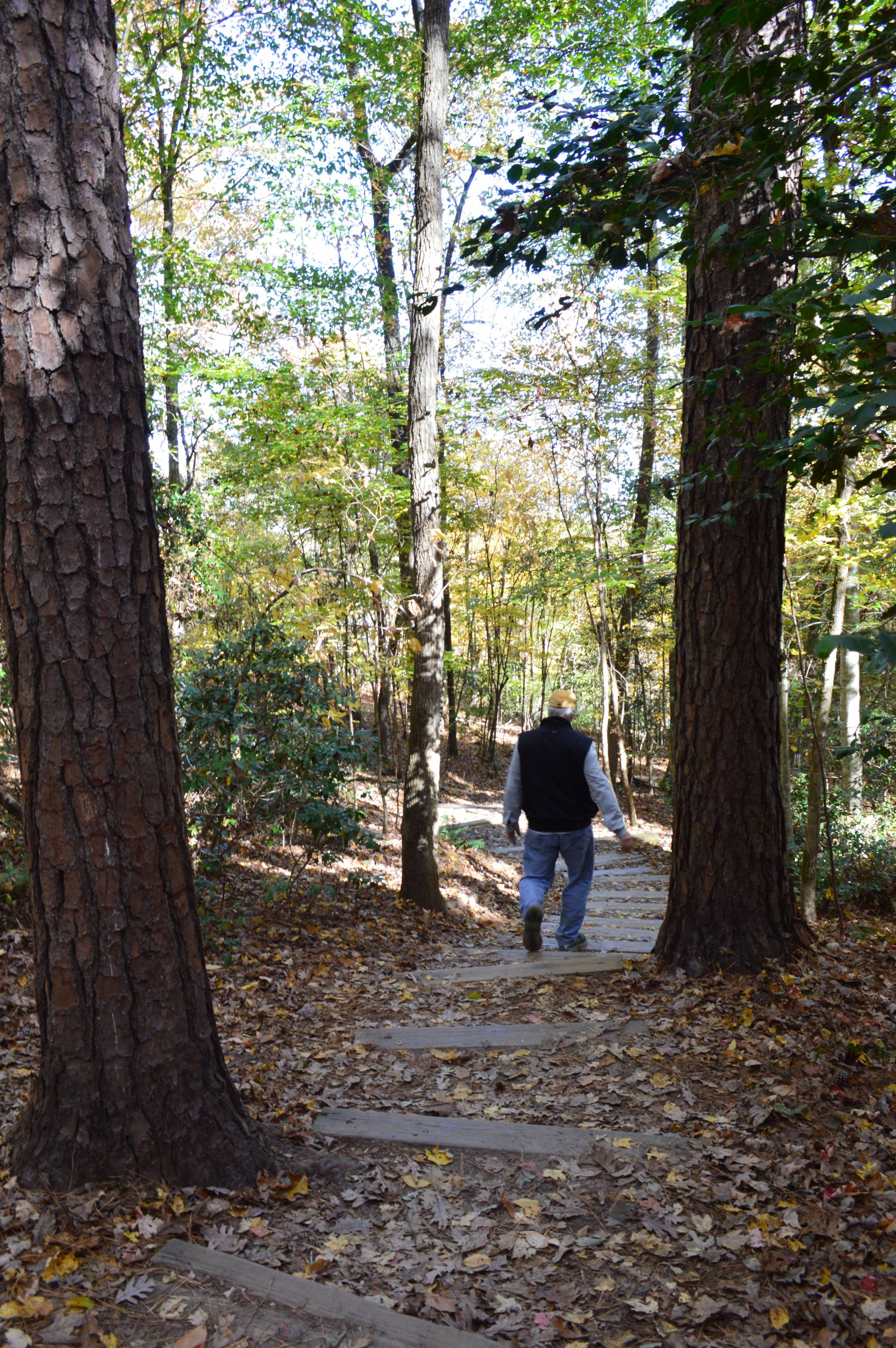 Raven Rock State Park, Lillington, North Carolina » Carolina Outdoors Guide